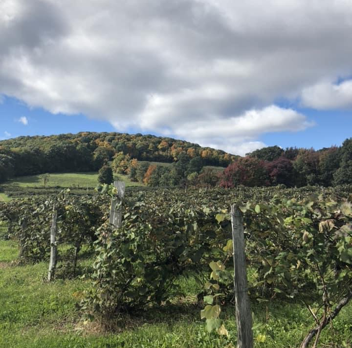 History – Quimby Farm