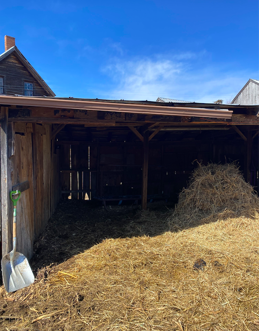 THE FARM IN MARCH – Quimby Farm